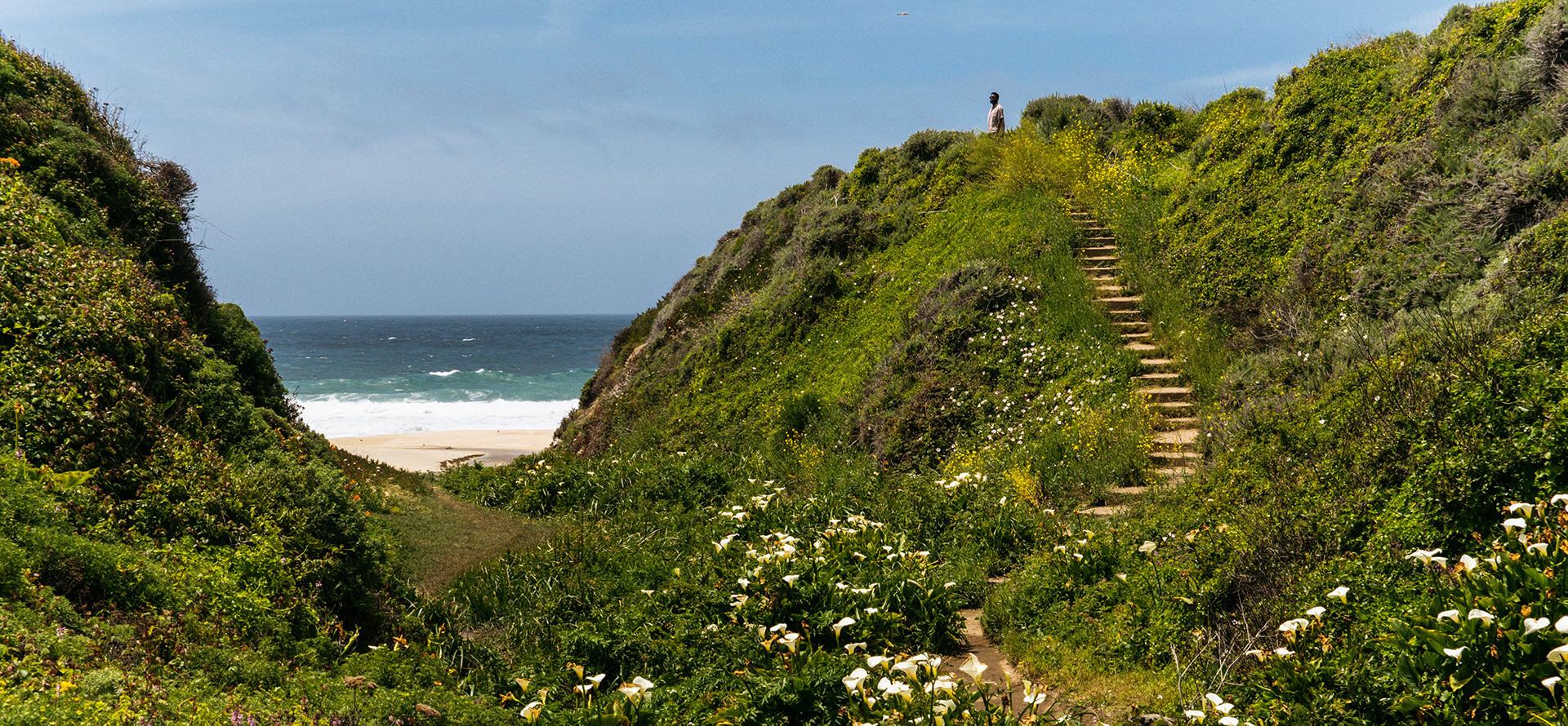 Local Day Hikes in Big Sur California (Big Sur Chamber of Commerce)