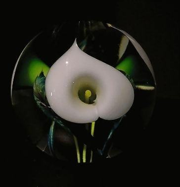White Calla Lily round Paperweight (Lotton Studios) - Crystal-Fox Gallery